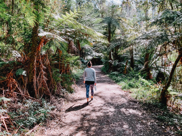 Melbourne in Spring: Glorious Things To Do! [2022]- M is for Melbourne